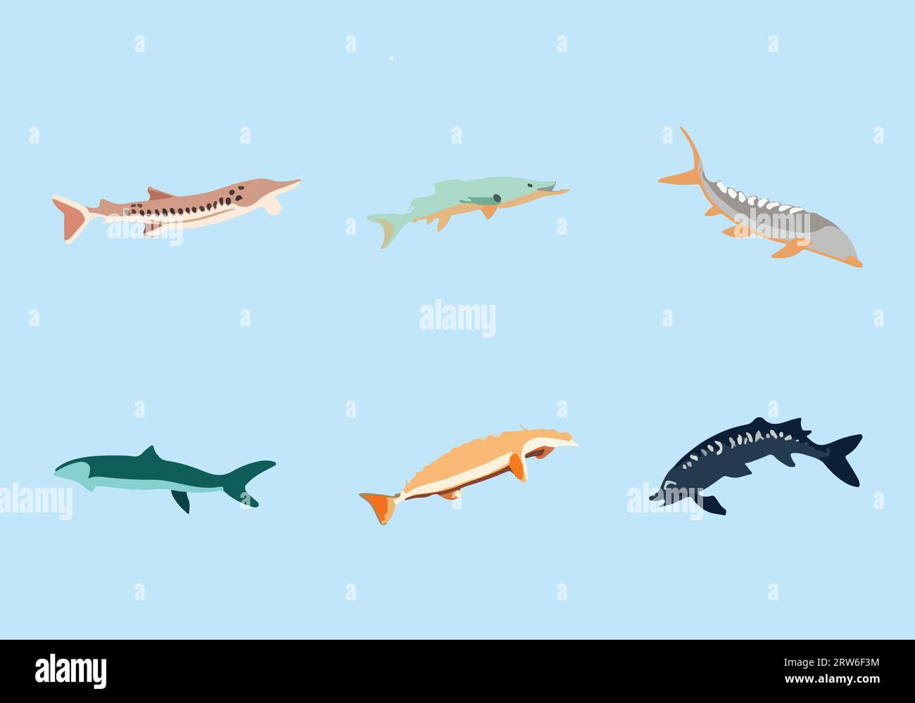 Minimal stylish animal design illustration Stock Vector Image & Art - Alamy