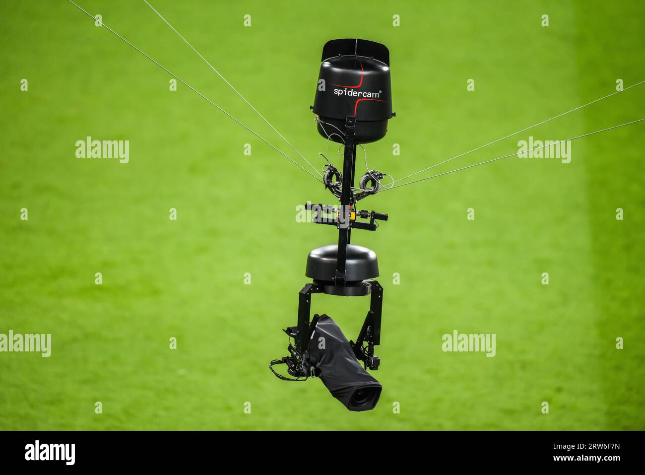 Digital 3d spider hi-res stock photography and images - Alamy