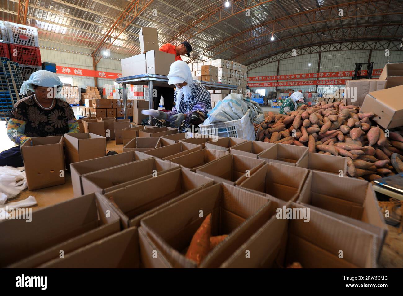 Potato boxes hi-res stock photography and images - Alamy
