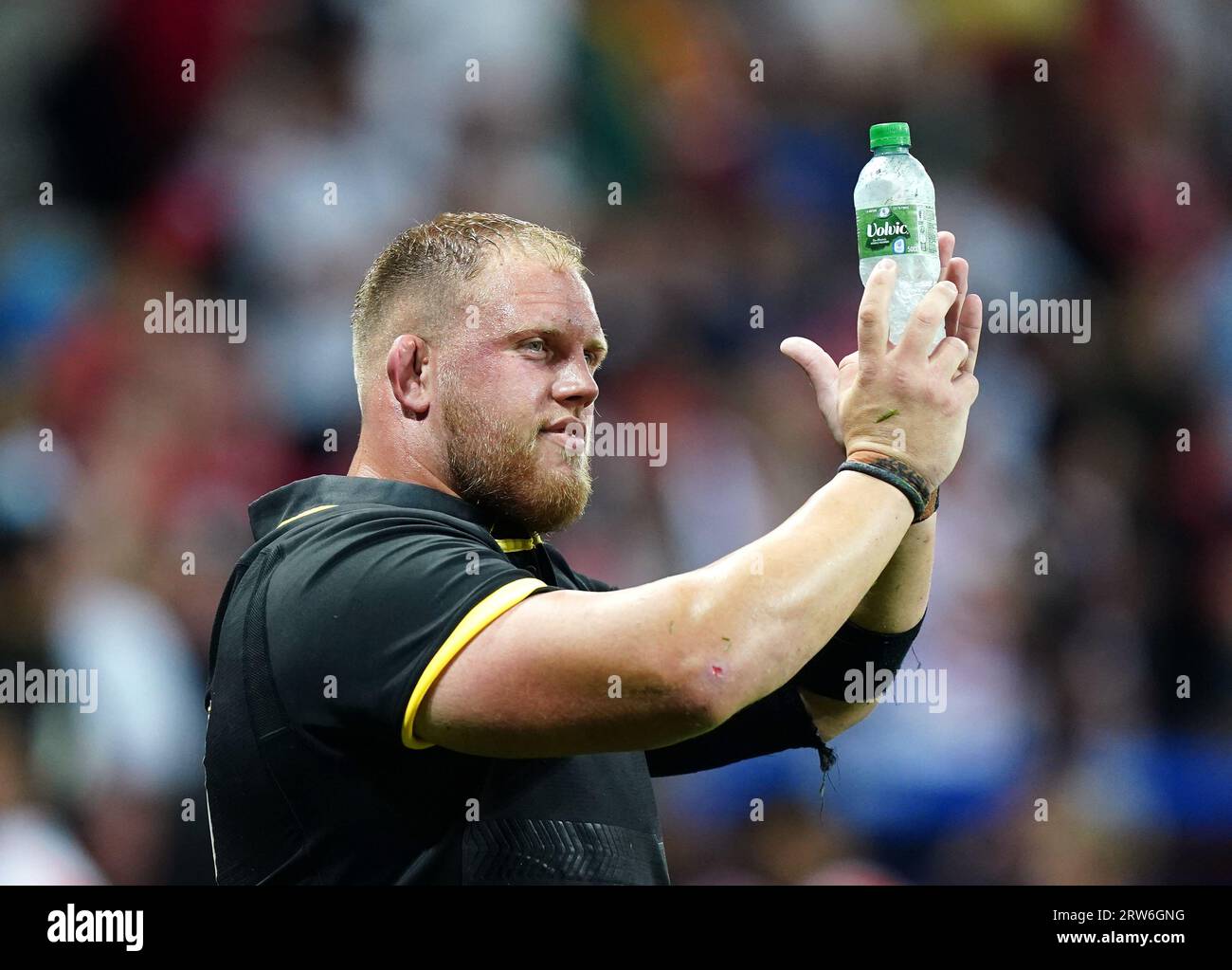 Domachowski 2023 hi-res stock photography and images - Alamy