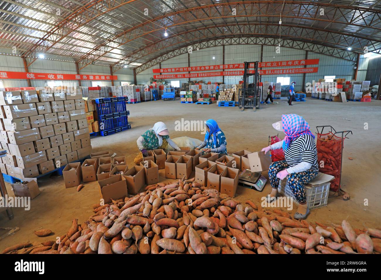 Potato boxes hi-res stock photography and images - Alamy