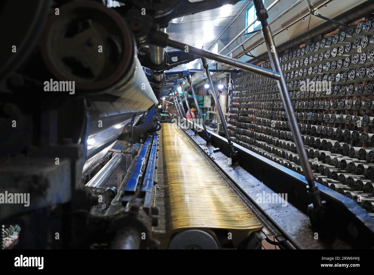 The workers are working hard on the weaving line in a processing plant ...