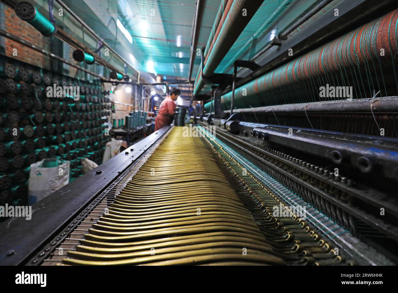 The workers are working hard on the weaving line in a processing plant ...