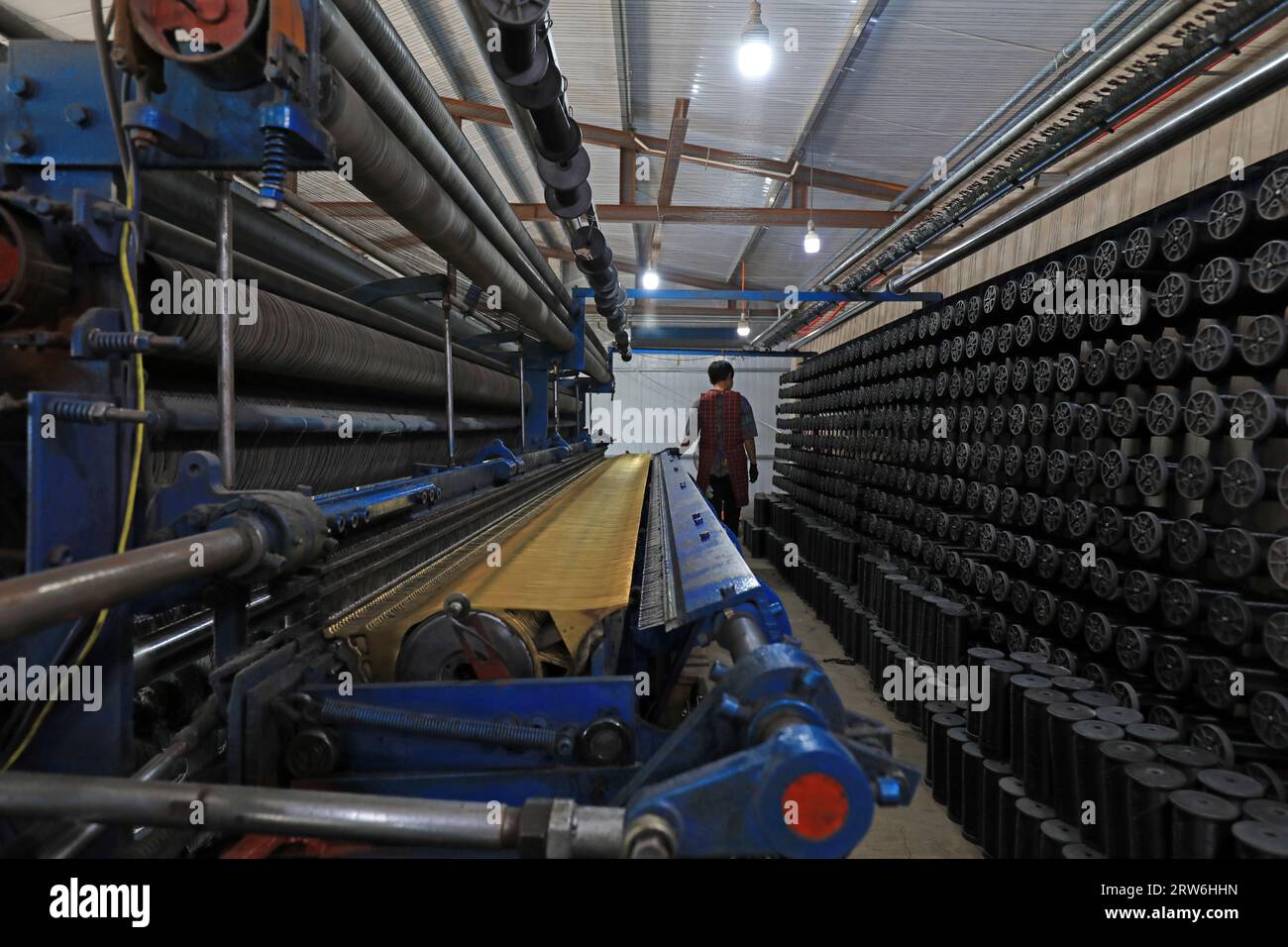 The workers are working hard on the weaving line in a processing plant ...