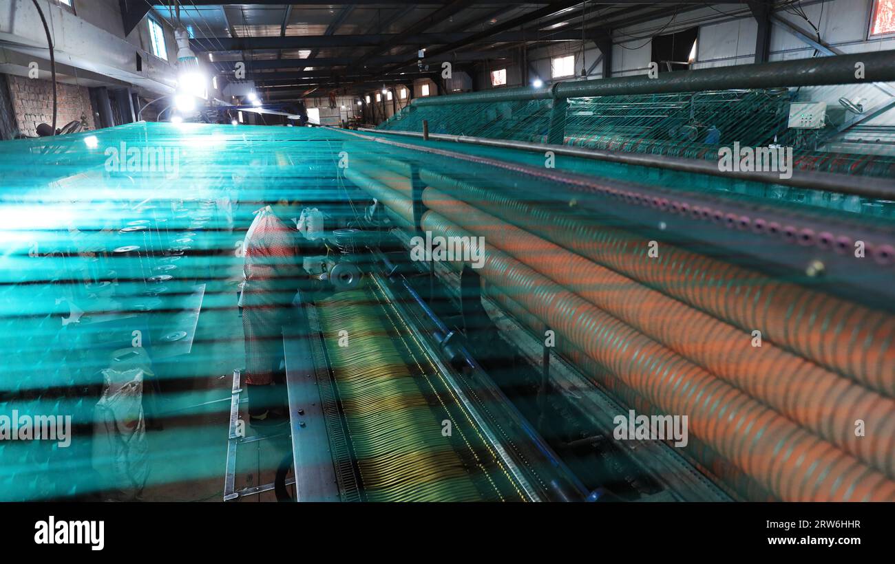The workers are working hard on the weaving line in a processing plant ...