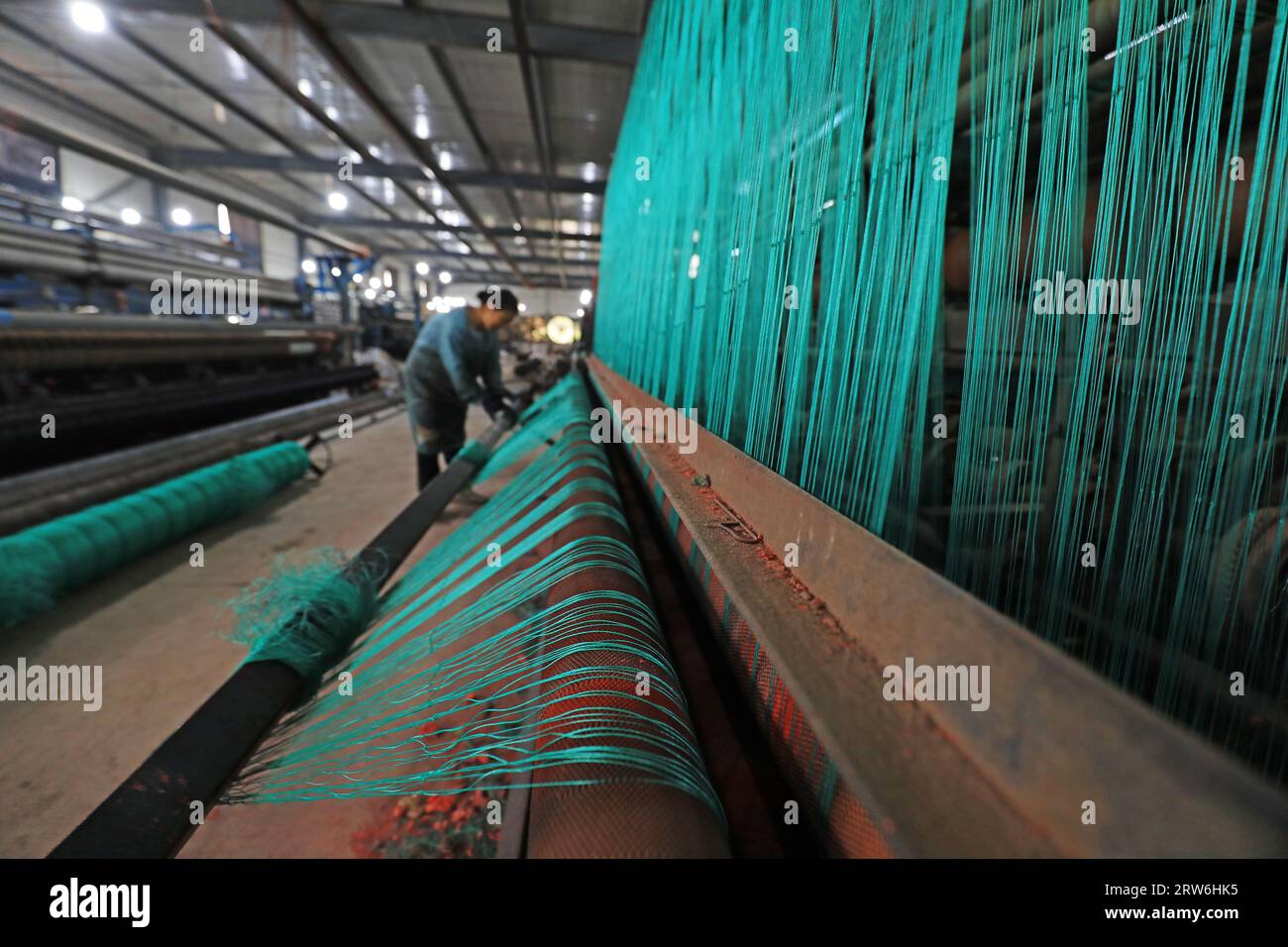 The workers are working hard on the weaving line in a processing plant ...