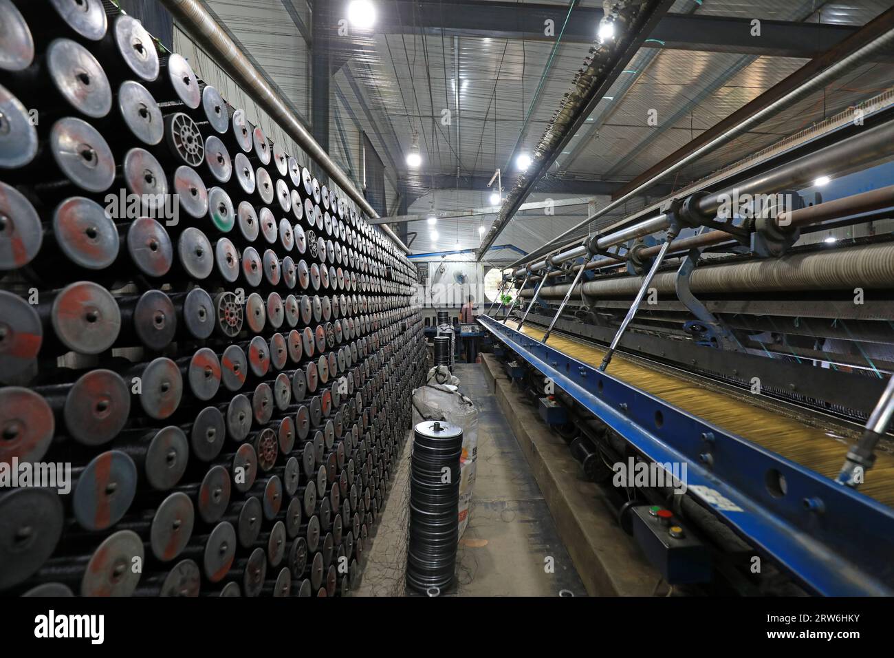 The workers are working hard on the weaving line in a processing plant ...
