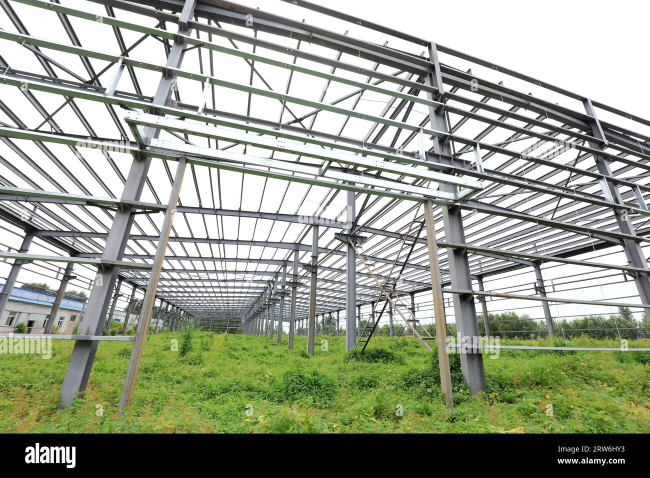 The steel beam framework of the plant is in the weeds Stock Photo - Alamy