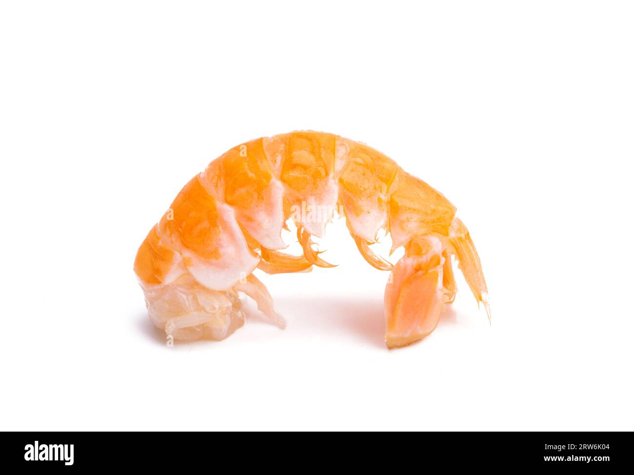 boiled shrimp tail isolated on white background Stock Photo - Alamy