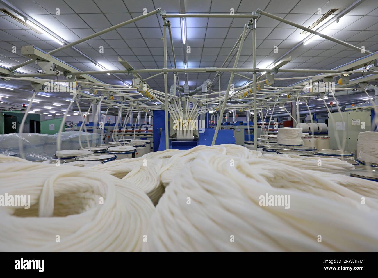 The cotton yarn on the production line is in a spinning factory Stock ...