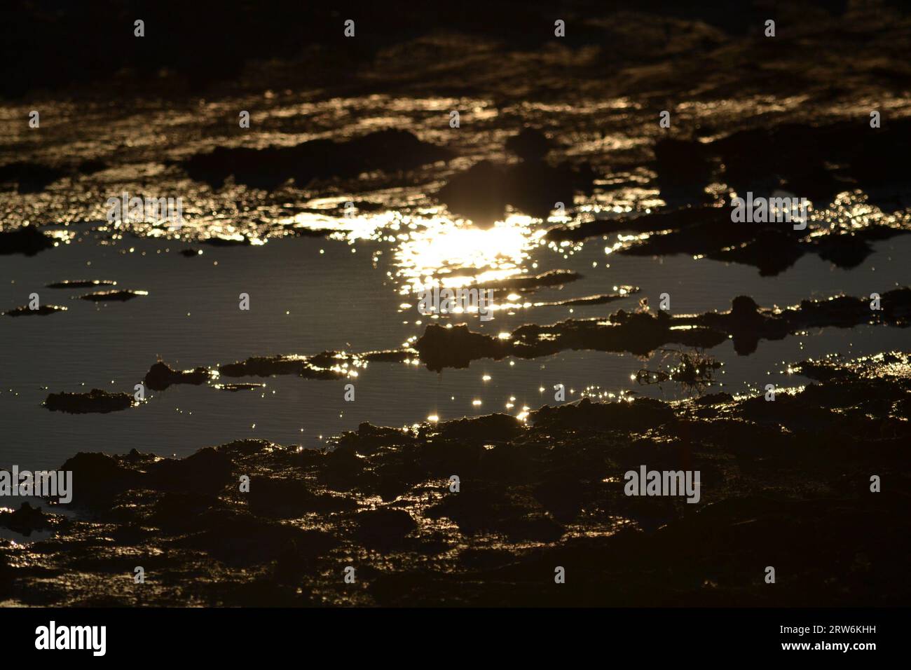 light reflecting in a puddle in a muddy field Stock Photo - Alamy