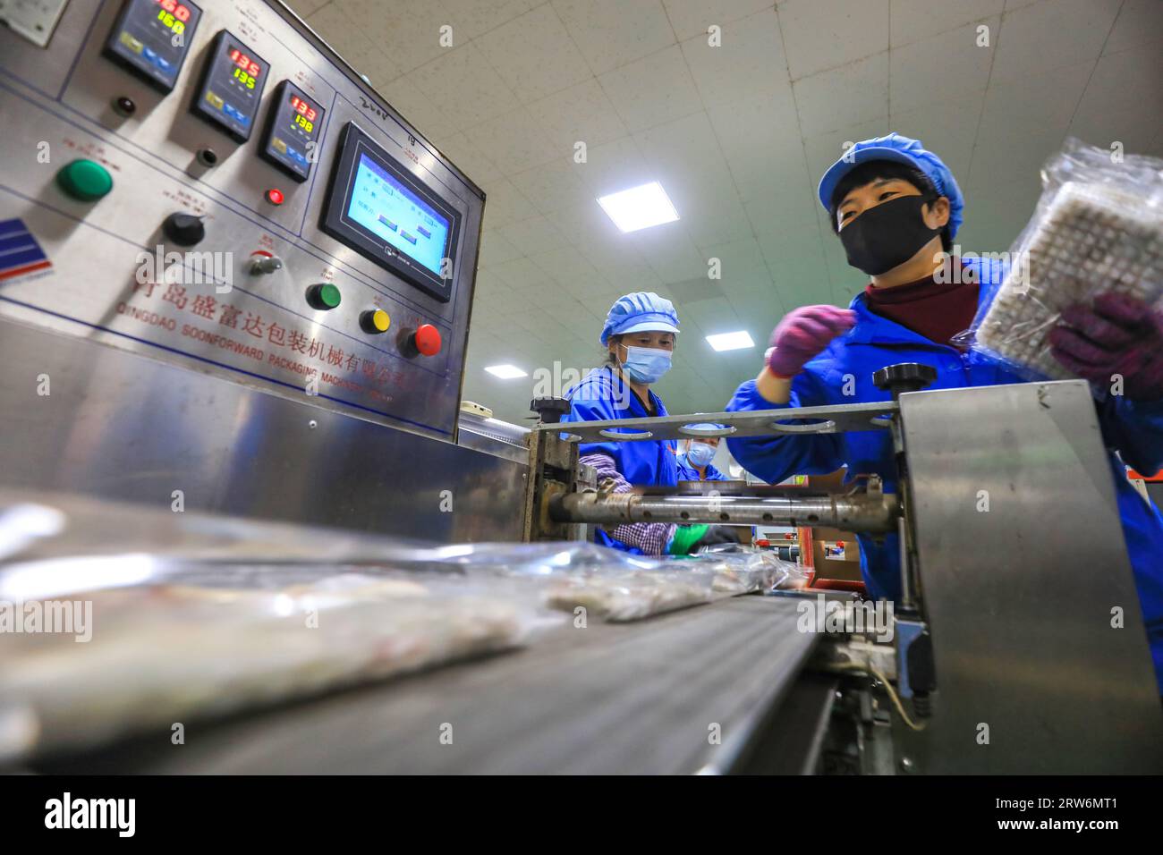 LUANNAN COUNTY, China - September 7, 2021: Female workers work hard on ...