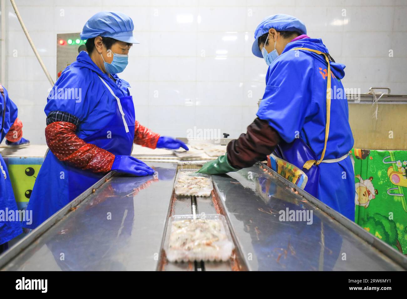 LUANNAN COUNTY, China - September 7, 2021: Female workers work hard on ...