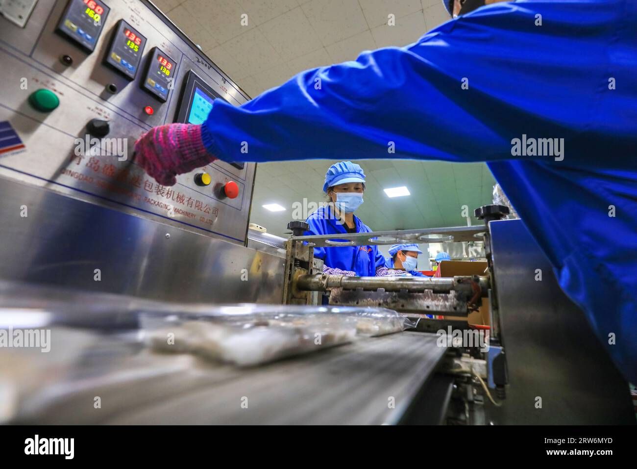 Seafood factory conveyor hi-res stock photography and images - Alamy
