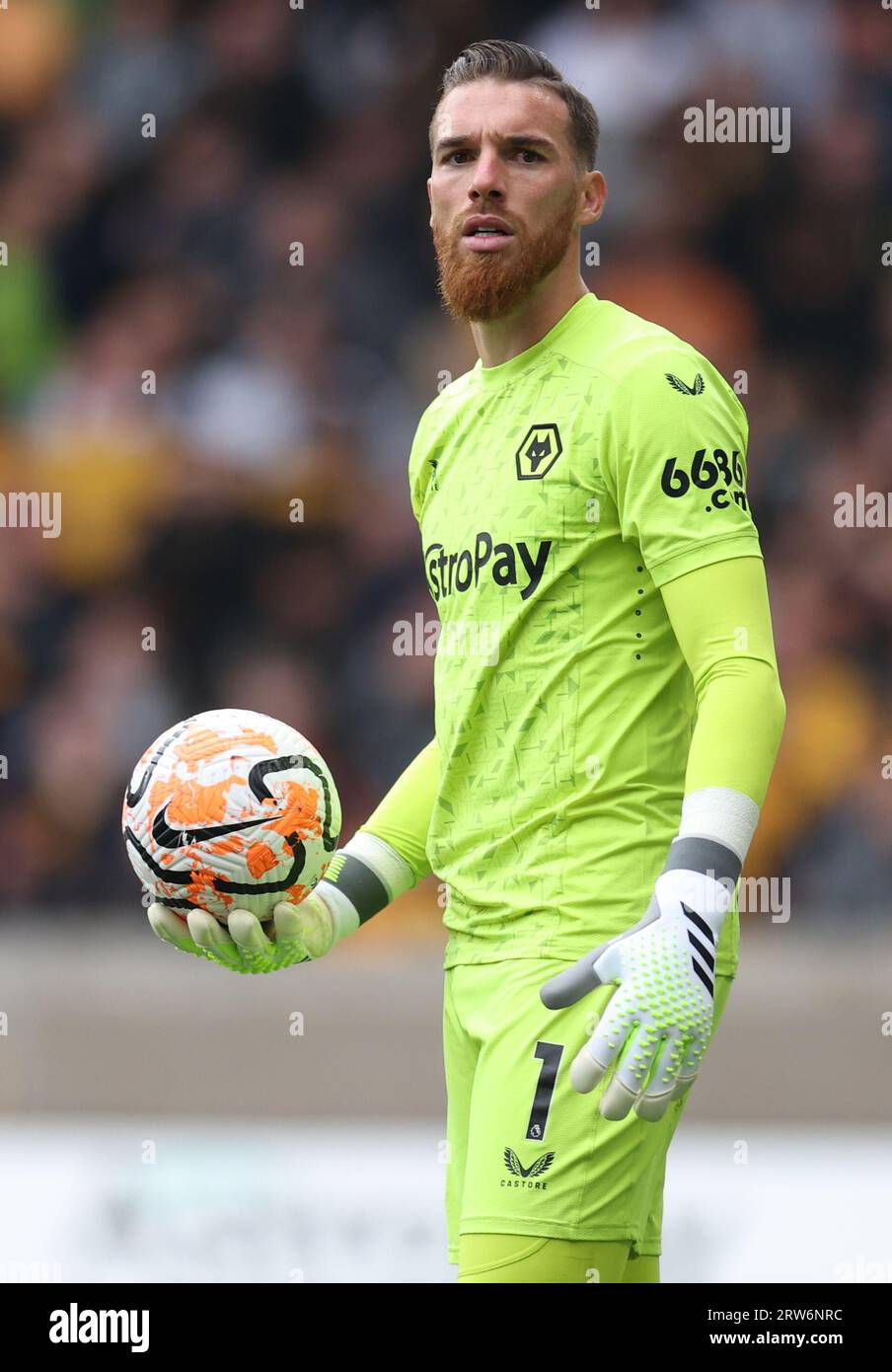 Jose sa wolves hi-res stock photography and images - Alamy