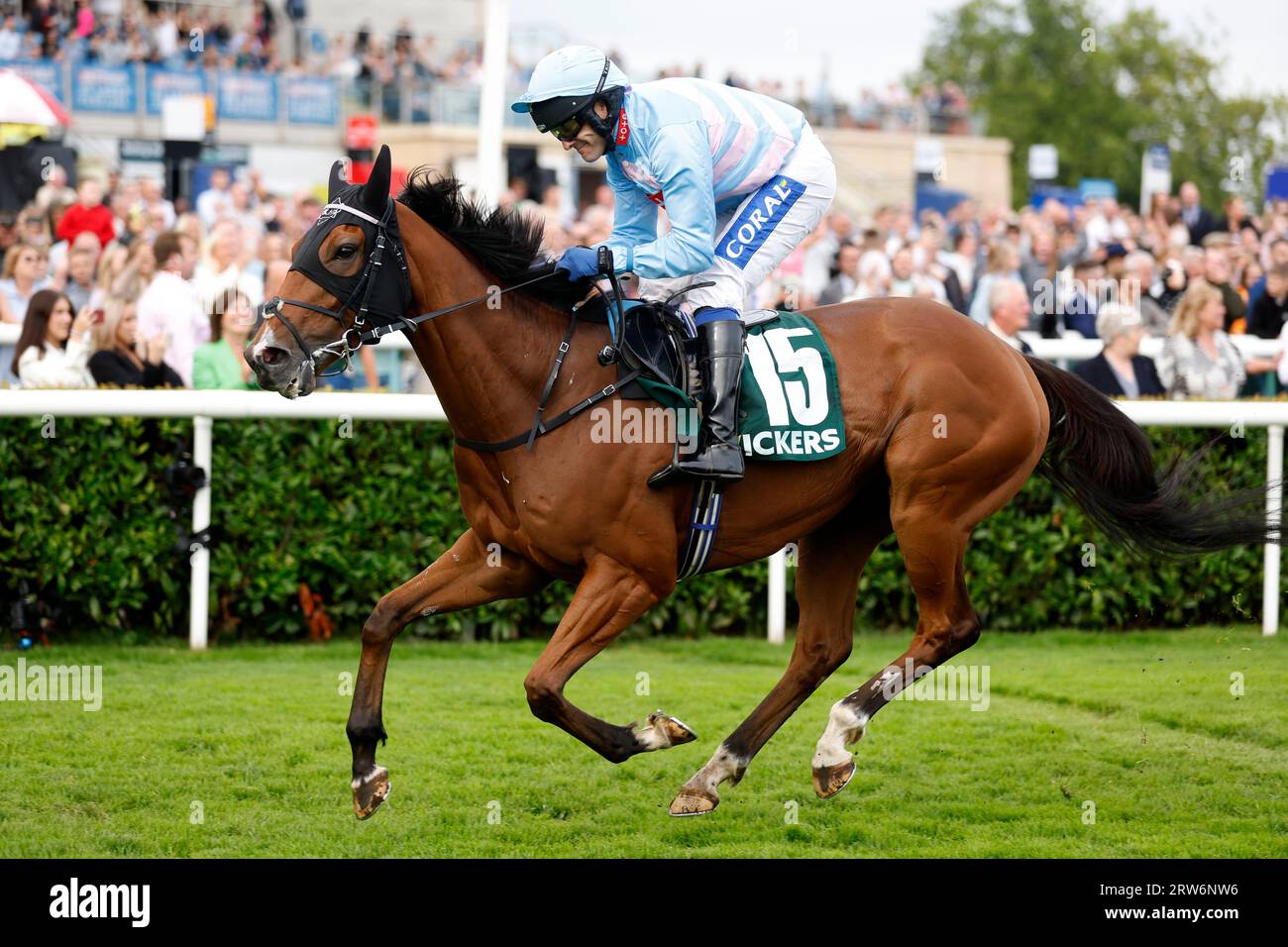 I Still Have Faith and Tom Scudamore coming home to win the Vickers.Bet ...