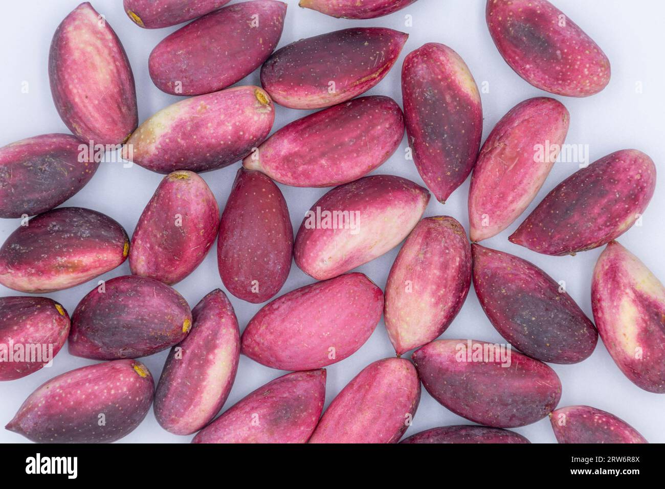 Fresh pink Pistachios isolated on white background Stock Photo - Alamy