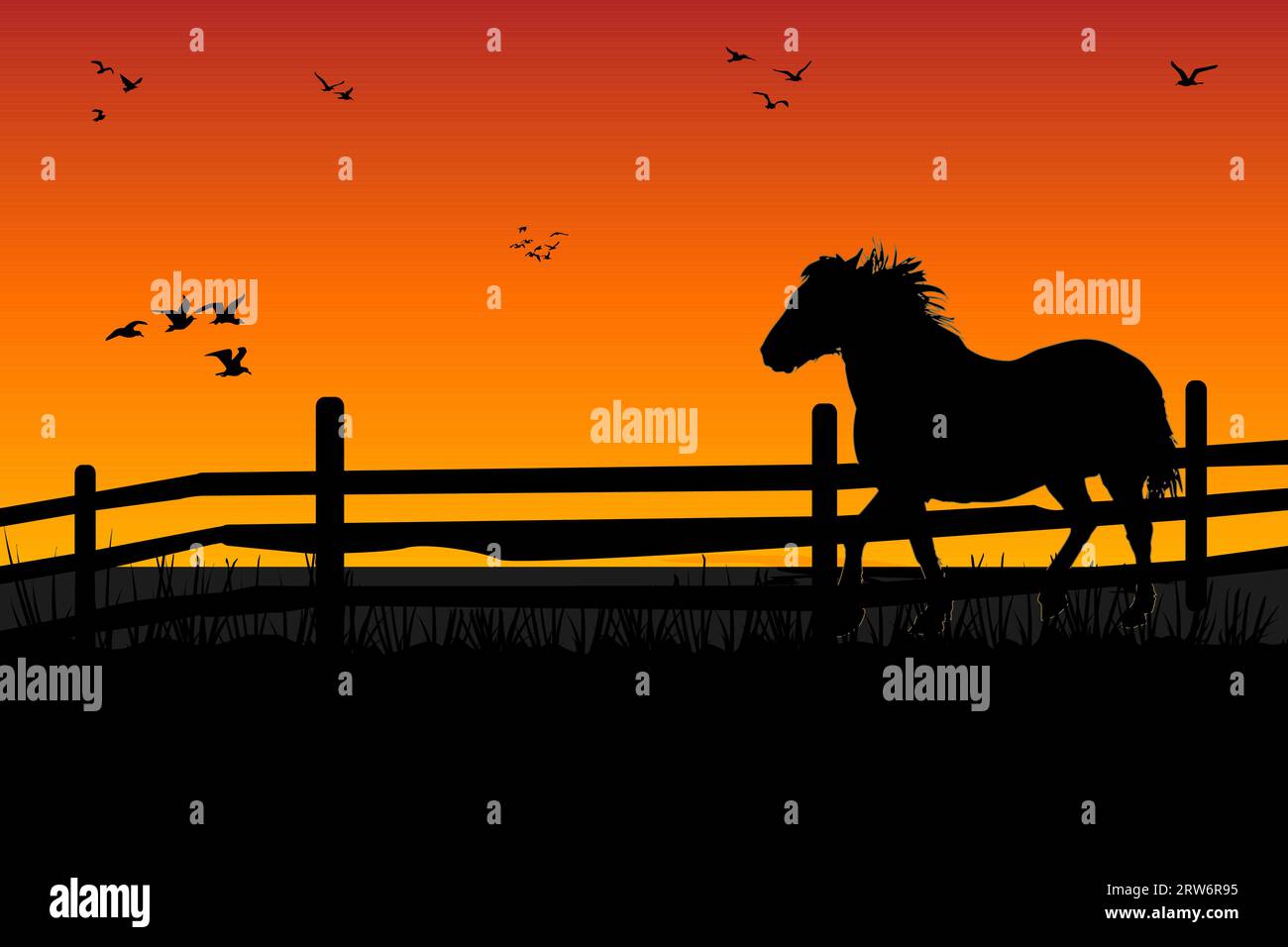 Farm horse grazing at meadow behind wooden fence. Sunset scene on ranch ...