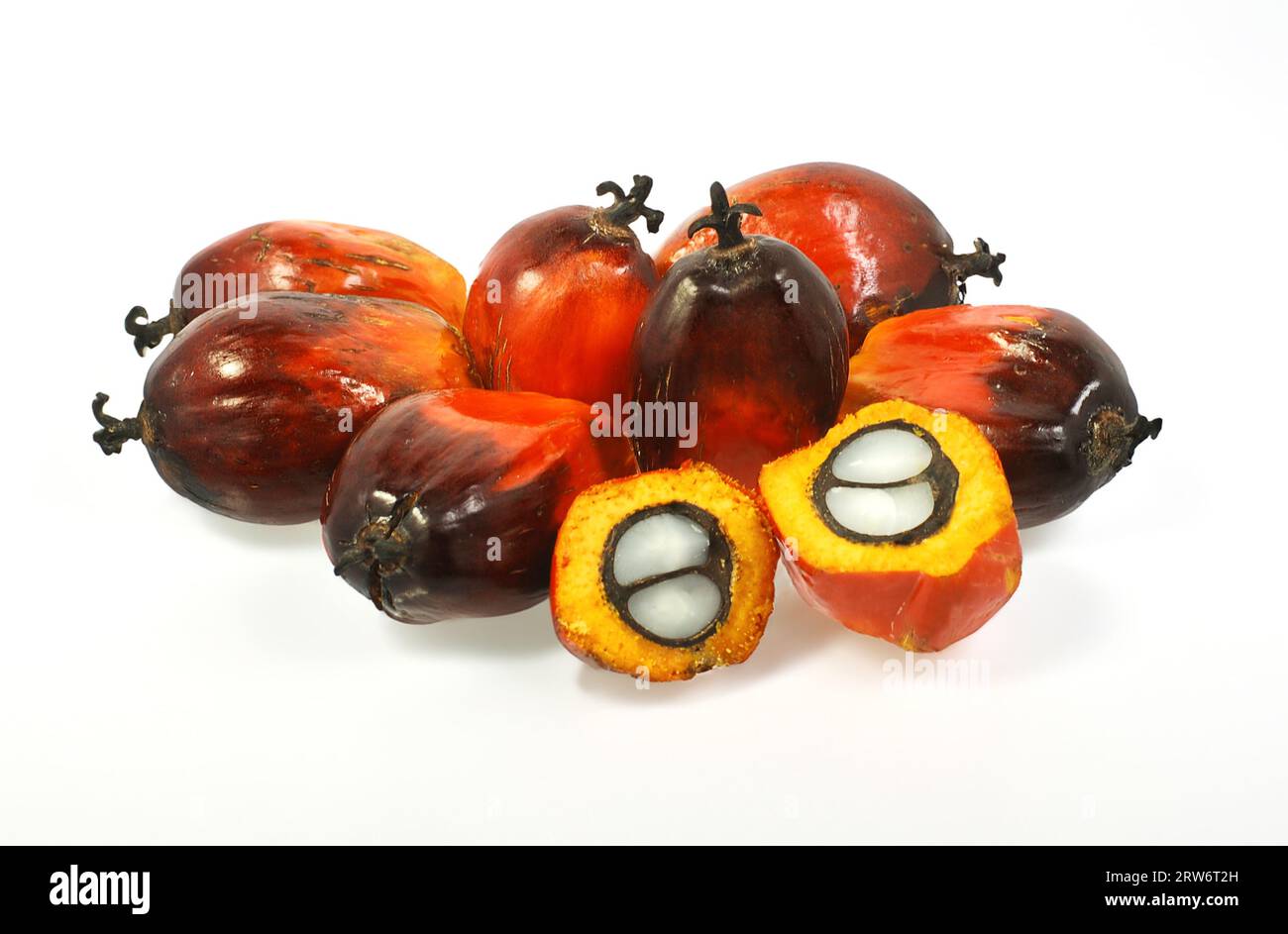 Oil palm background hi-res stock photography and images - Alamy