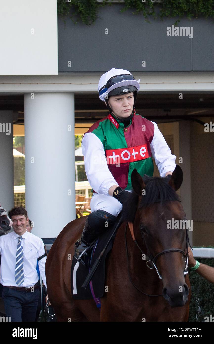 Horse racing horses photos uk hi-res stock photography and images - Alamy