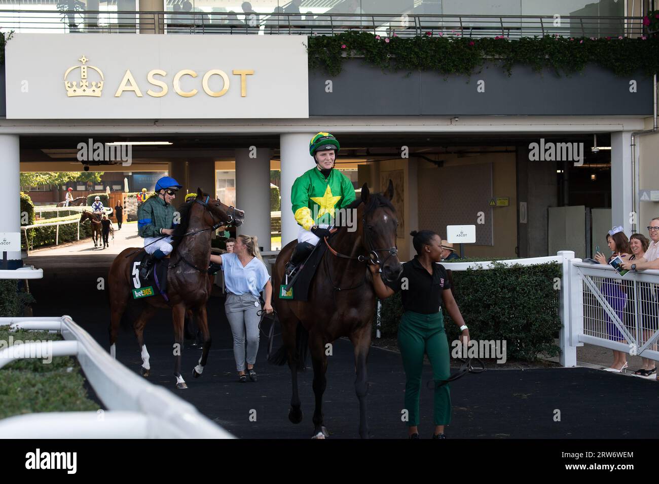 Star of orion horse race horse hi-res stock photography and images - Alamy