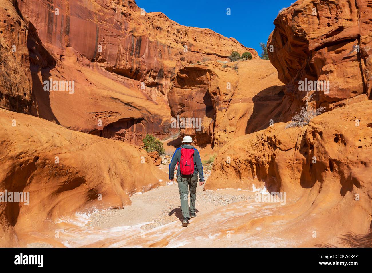Hike in the Utah mountains. Hiking in unusual natural landscapes ...