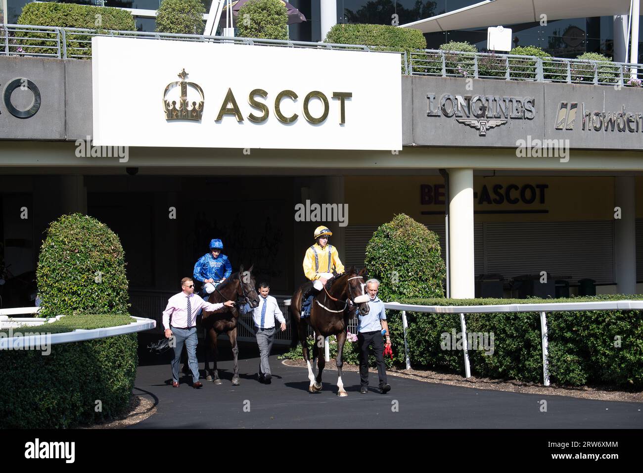 Lavazza stakes hi-res stock photography and images - Alamy