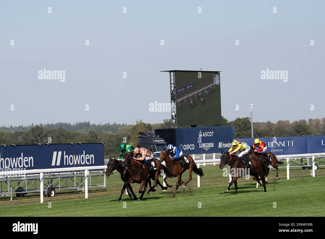 St albans bloodstock ltd hi-res stock photography and images - Alamy