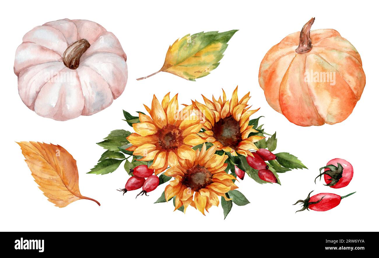 Bright collection with realistic watercolor autumn leaves, yellow ...