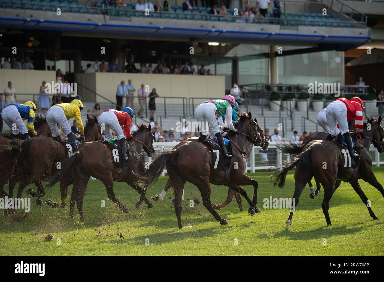 The royal ascot racing club 25th anniversary british ebf premier hi-res ...