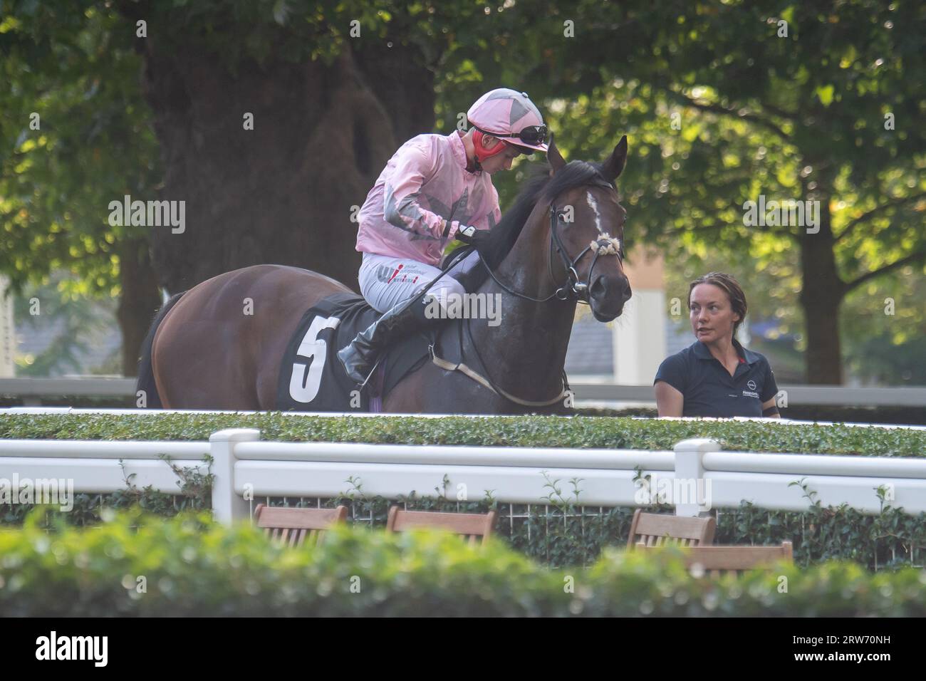 Ascot, Berkshire, UK. 9th September, 2023. Horse Another Investment ...