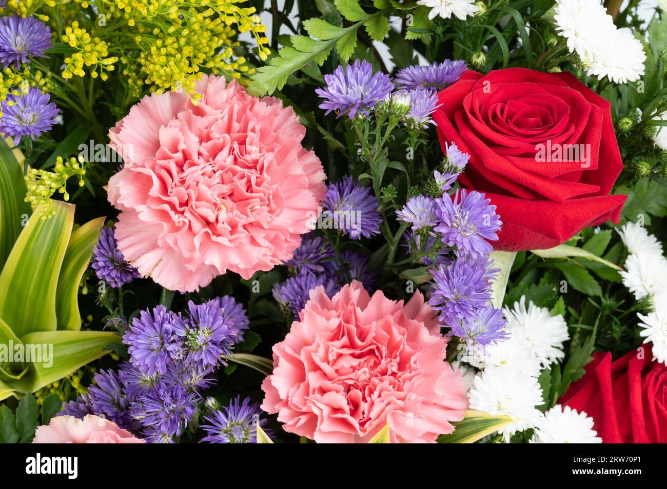 Different color flowers background with green leaves close up view ...