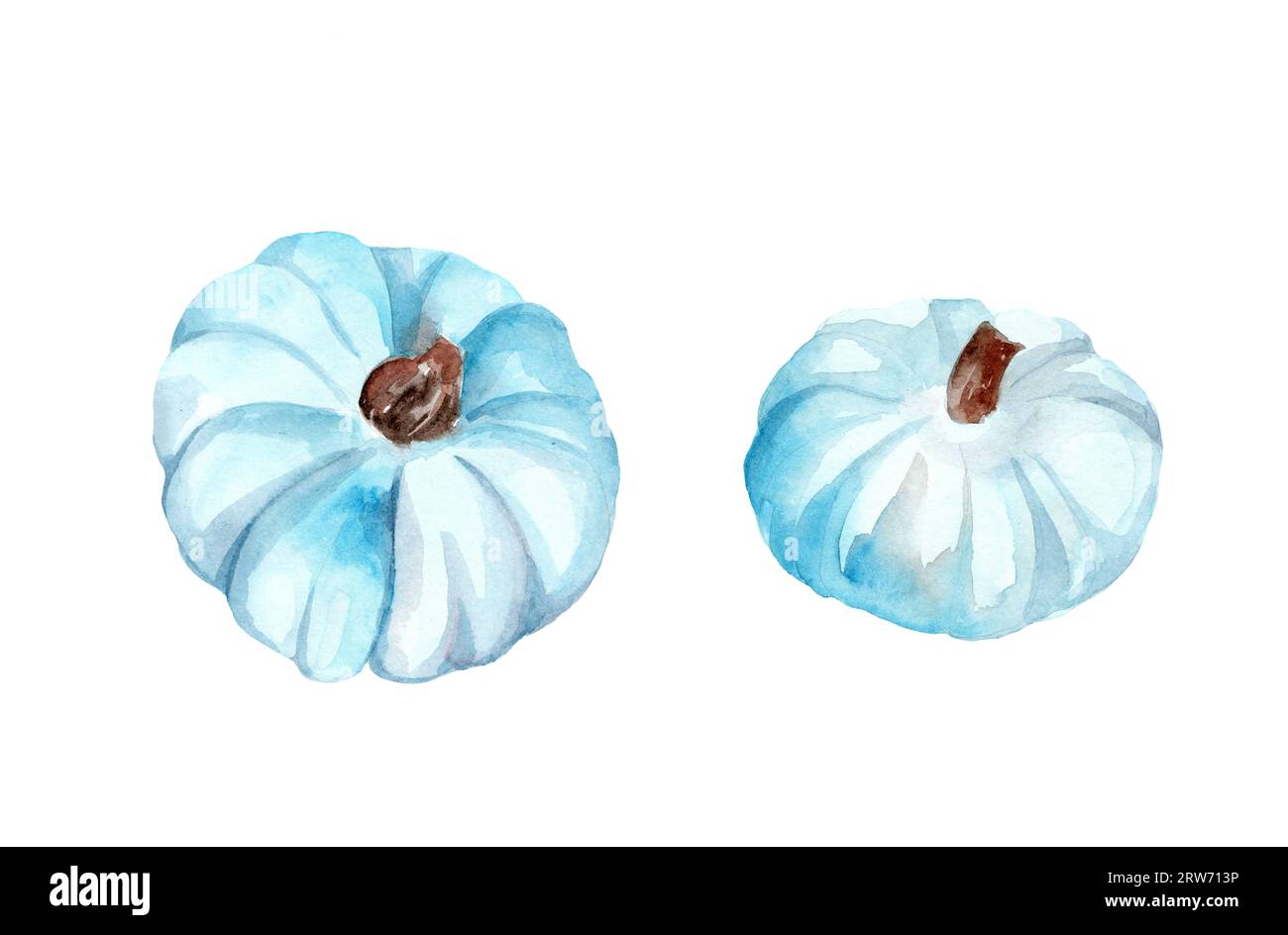 watercolor drawing of blue pumpkins on white background Stock Photo - Alamy