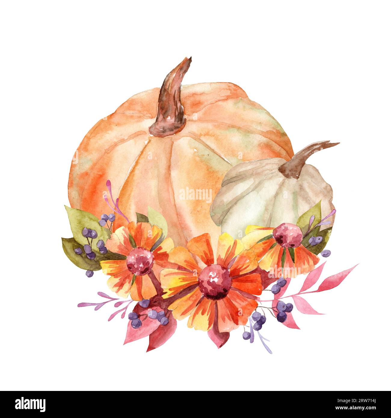 Watercolor floral pumpkins composition. Pastel pumpkin and flowers ...
