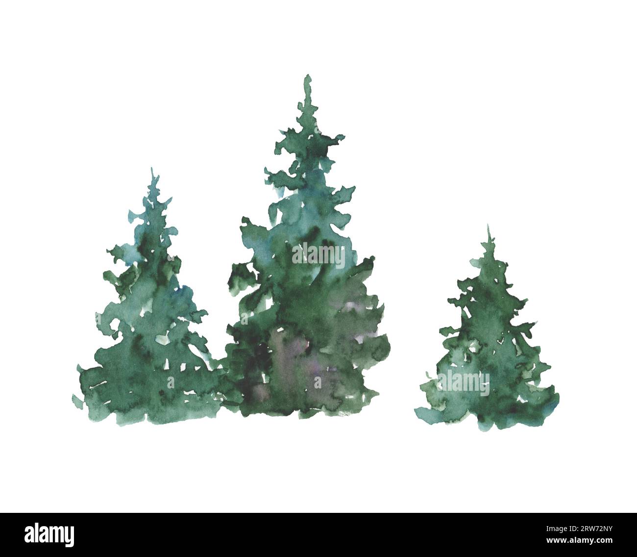 Watercolor Christmas tree set. Hand painted Christmas trees on a white ...