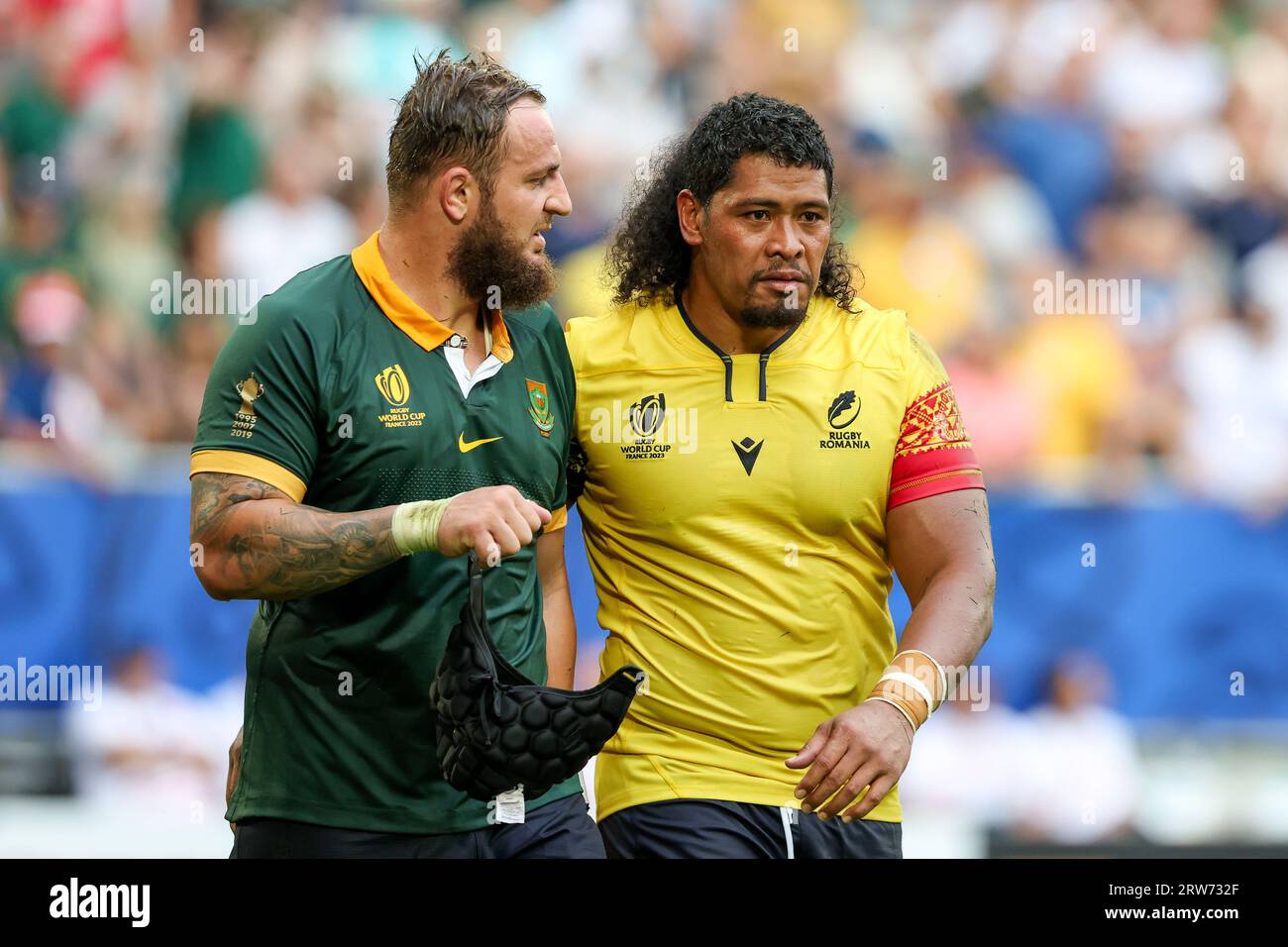 Damian stratila hi-res stock photography and images - Alamy