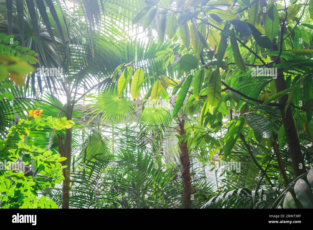 Crown greenhouse hi-res stock photography and images - Alamy