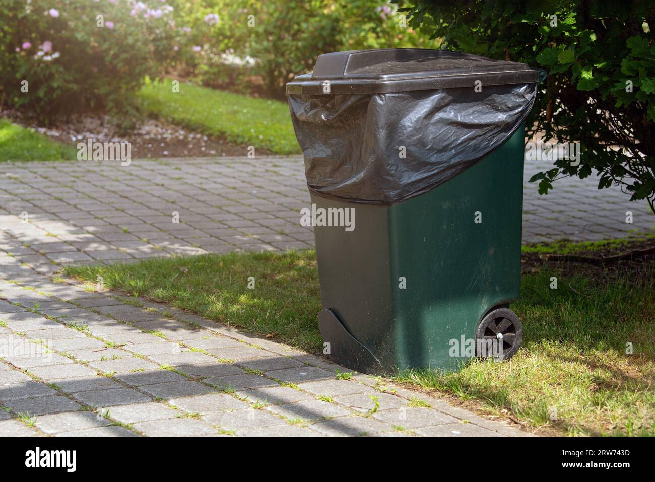 Close-up of a plastic trash can in a park. Garbage can on wheels ...