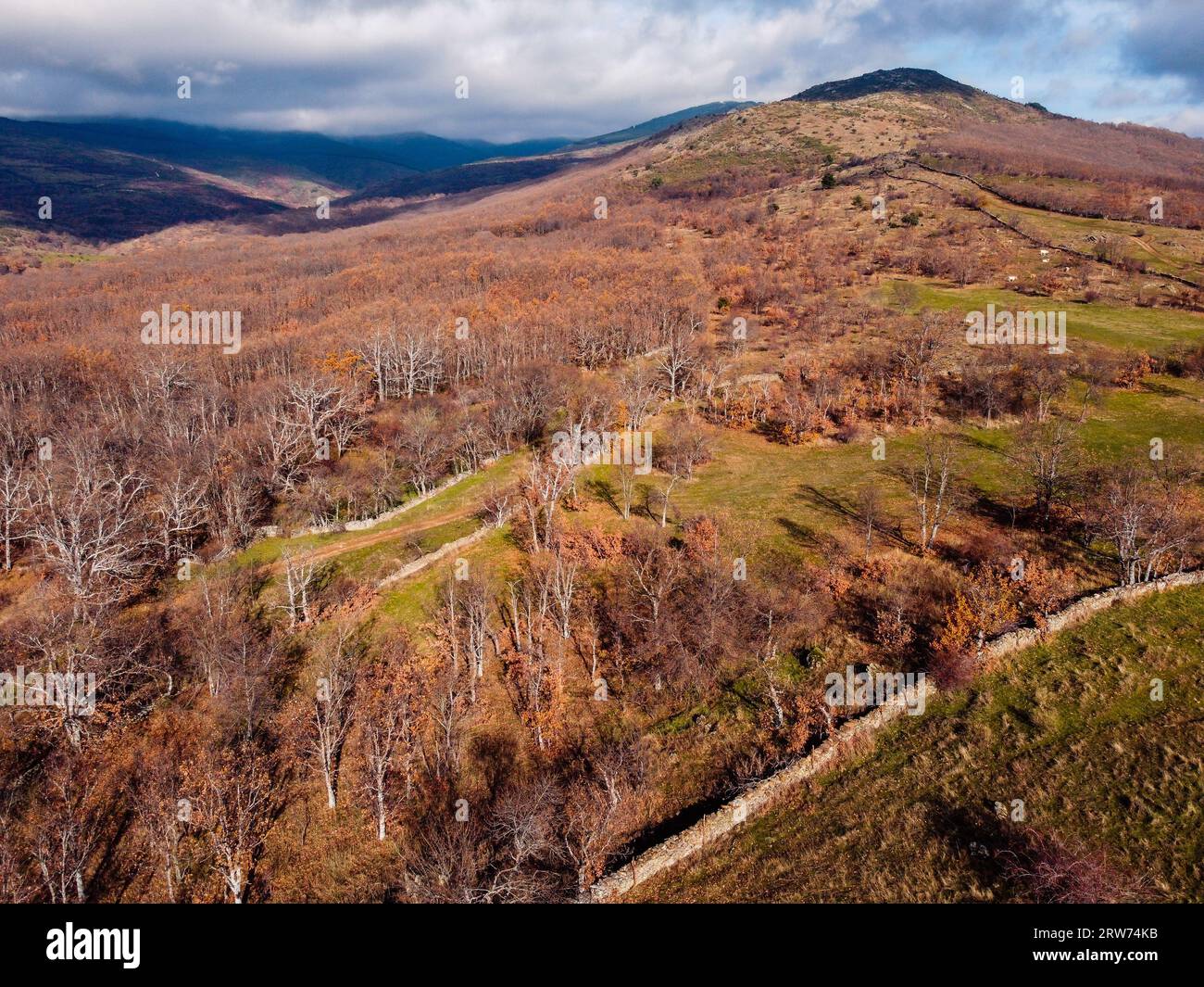 Rincon point aerial hi-res stock photography and images - Alamy