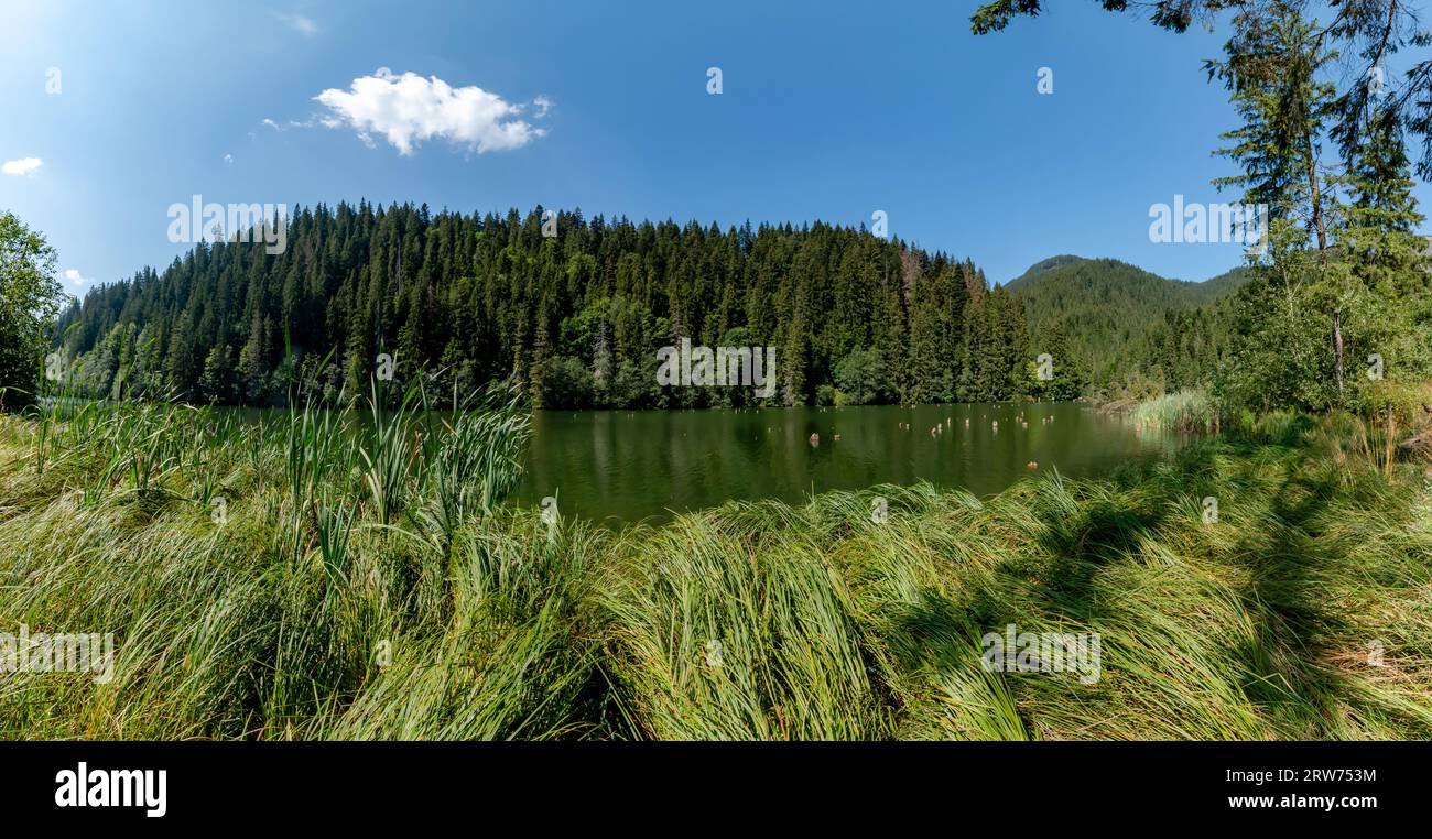 Lacul rosu hi-res stock photography and images - Alamy