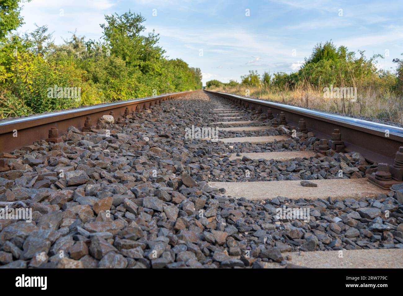 Rail track between trees hi-res stock photography and images - Alamy