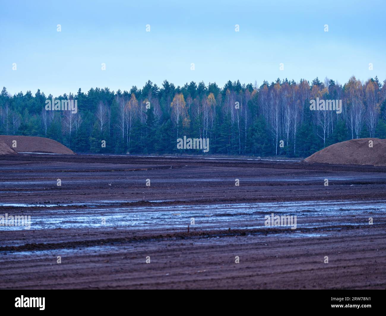 swamp wetlands landscape for gathering turf natural energie field Stock ...