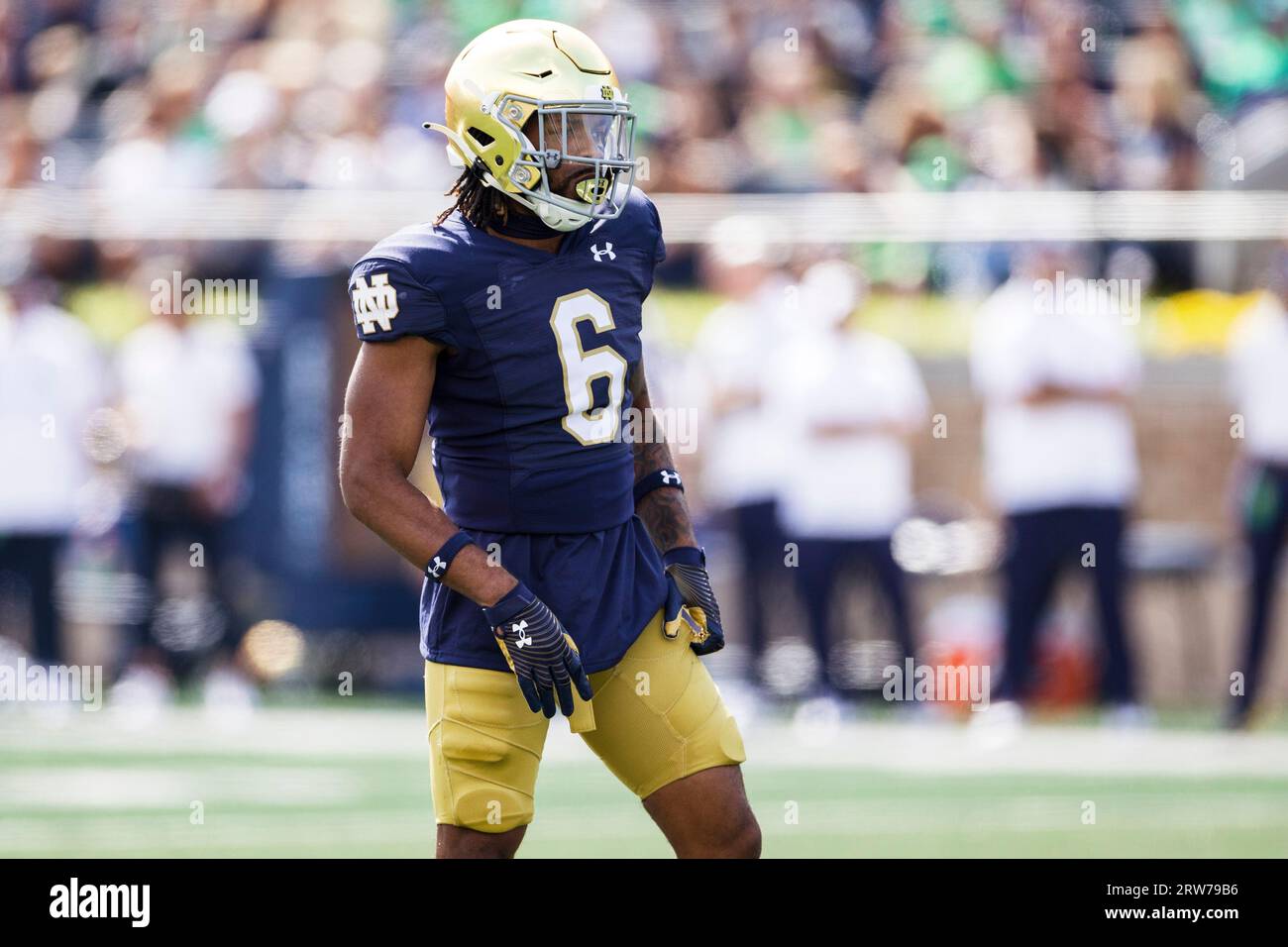 South Bend, Indiana, USA. 16th Sep, 2023. Notre Dame defensive back Clarence Lewis (6) during ...