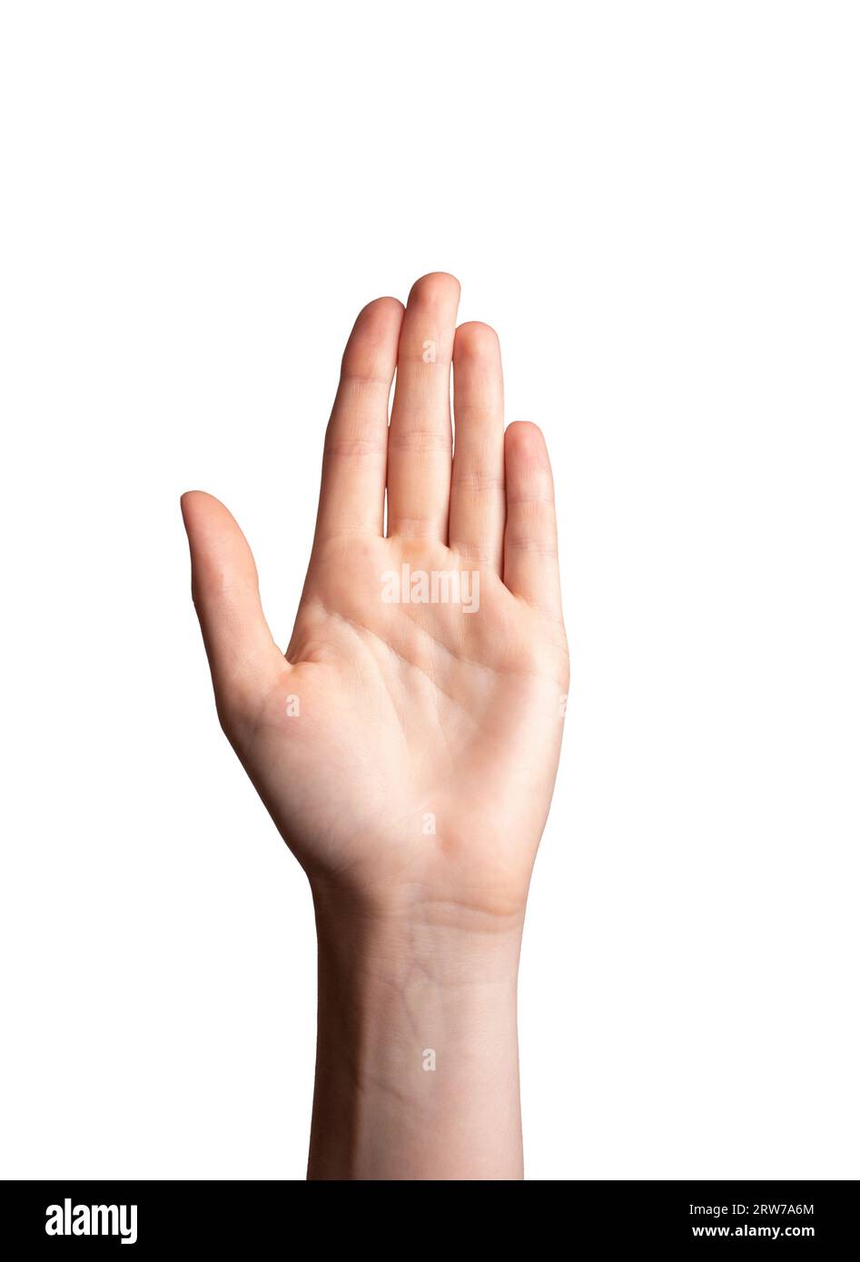 Hand palm raised up, isolated on white Stock Photo - Alamy