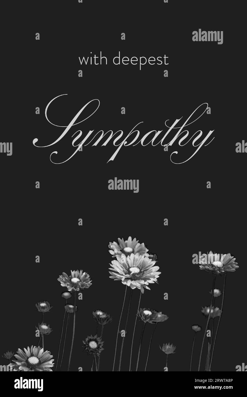 Bouquet white flowers on background Black and White Stock Photos ...