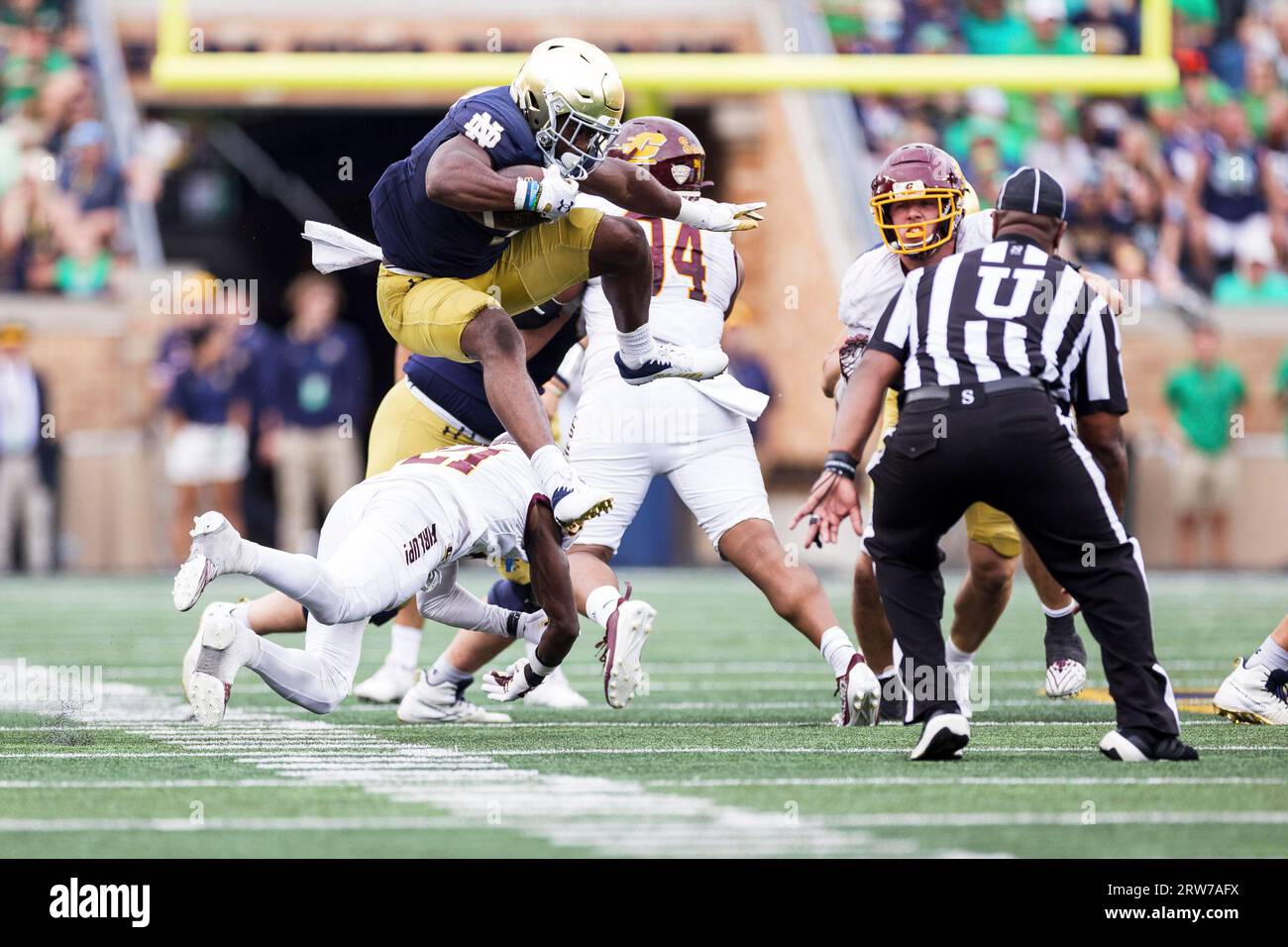 South Bend, Indiana, USA. 16th Sep, 2023. Notre Dame running back Audric Estimé (7) runs with ...