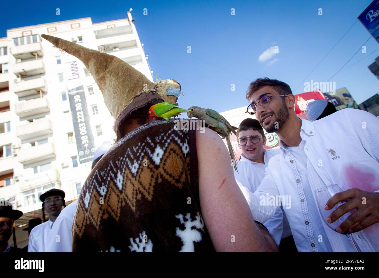 Non Exclusive: UMAN, UKRAINE - SEPTEMBER 16, 2023 - Two parrots are ...