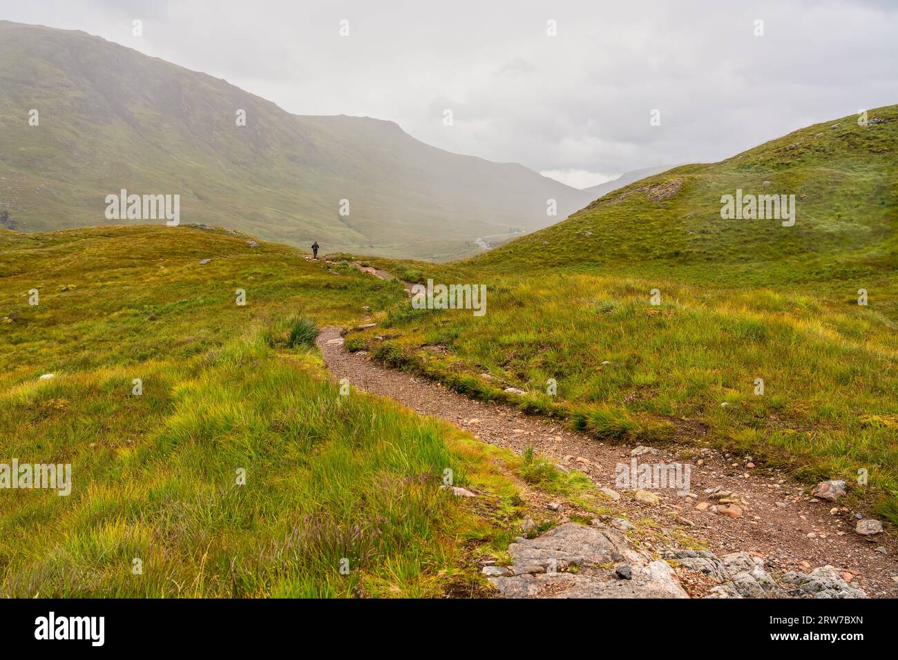 Hiker walking the path between mountains and green meadows in Glencoe ...