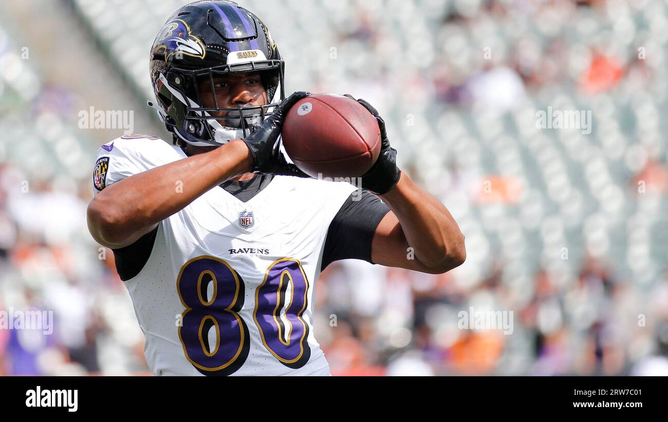 Cincinnati, Ohio, USA. 17th Sep, 2023. Baltimore Ravens tight end ...