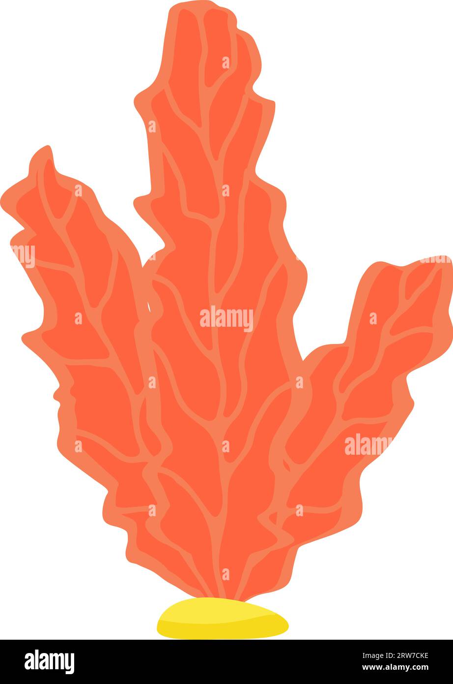 Vector illustration. Underwater seaweed cartoon clipart. isolated ...